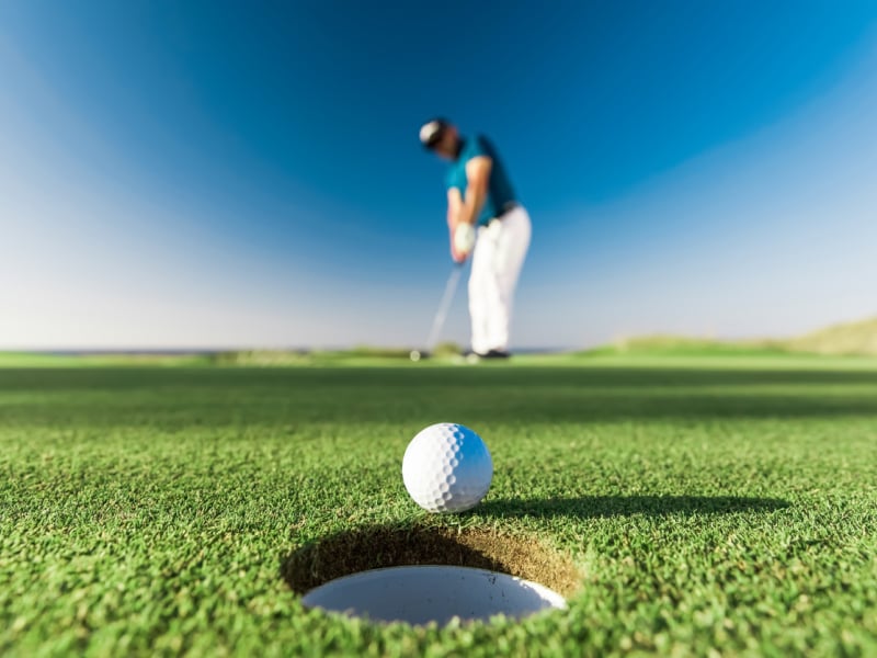 Things to Do in the Rio Grande Valley | Victoria Palms Inn